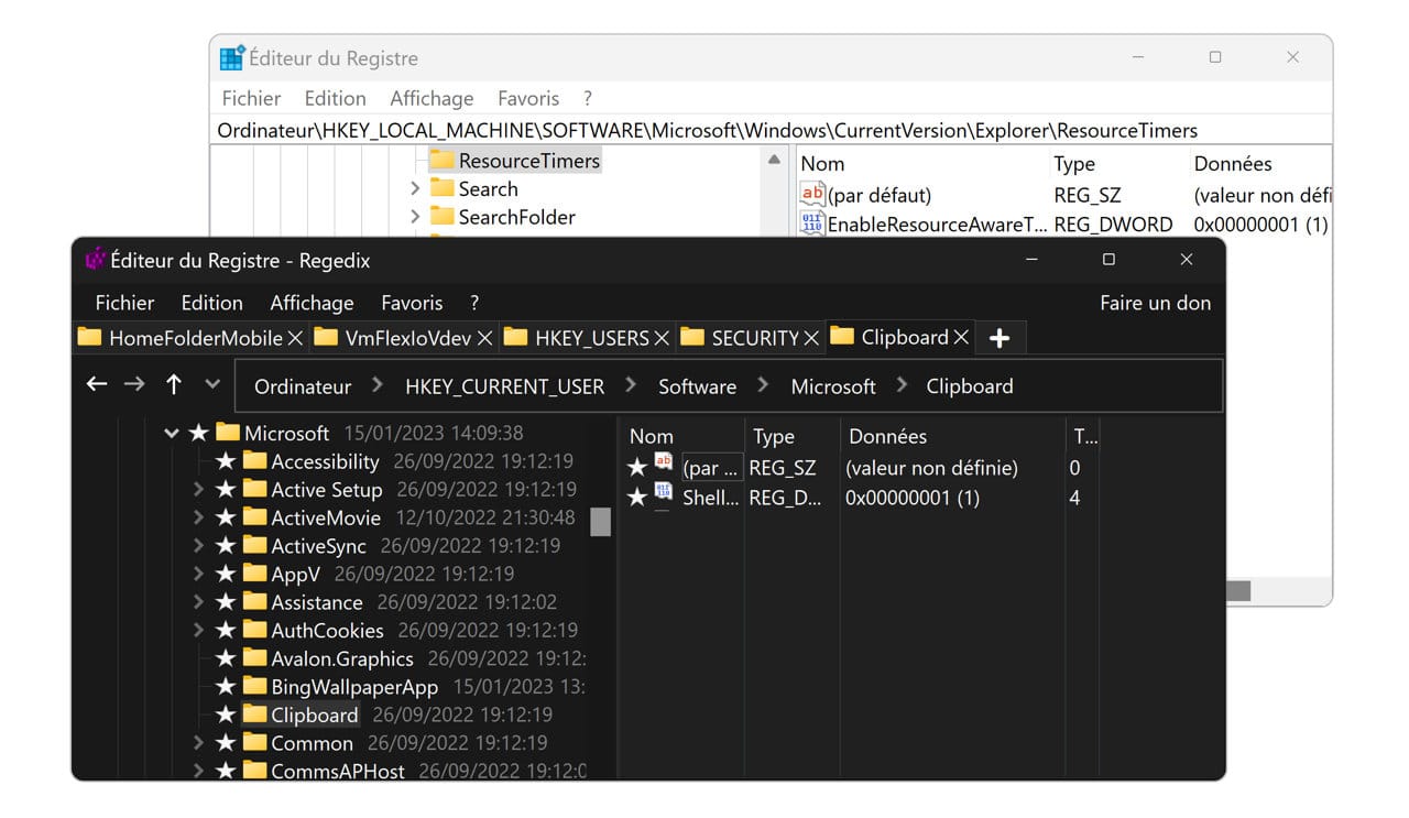 Regedix : une alternative réussie à Regedit de Windows