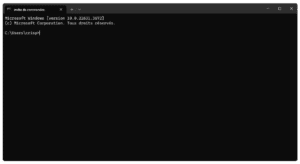 Mettre à jour tous les logiciels Windows avec une seule ligne de commande